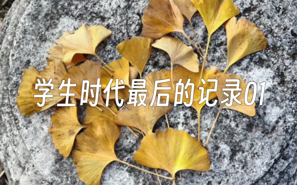 学生时代最后的记录01