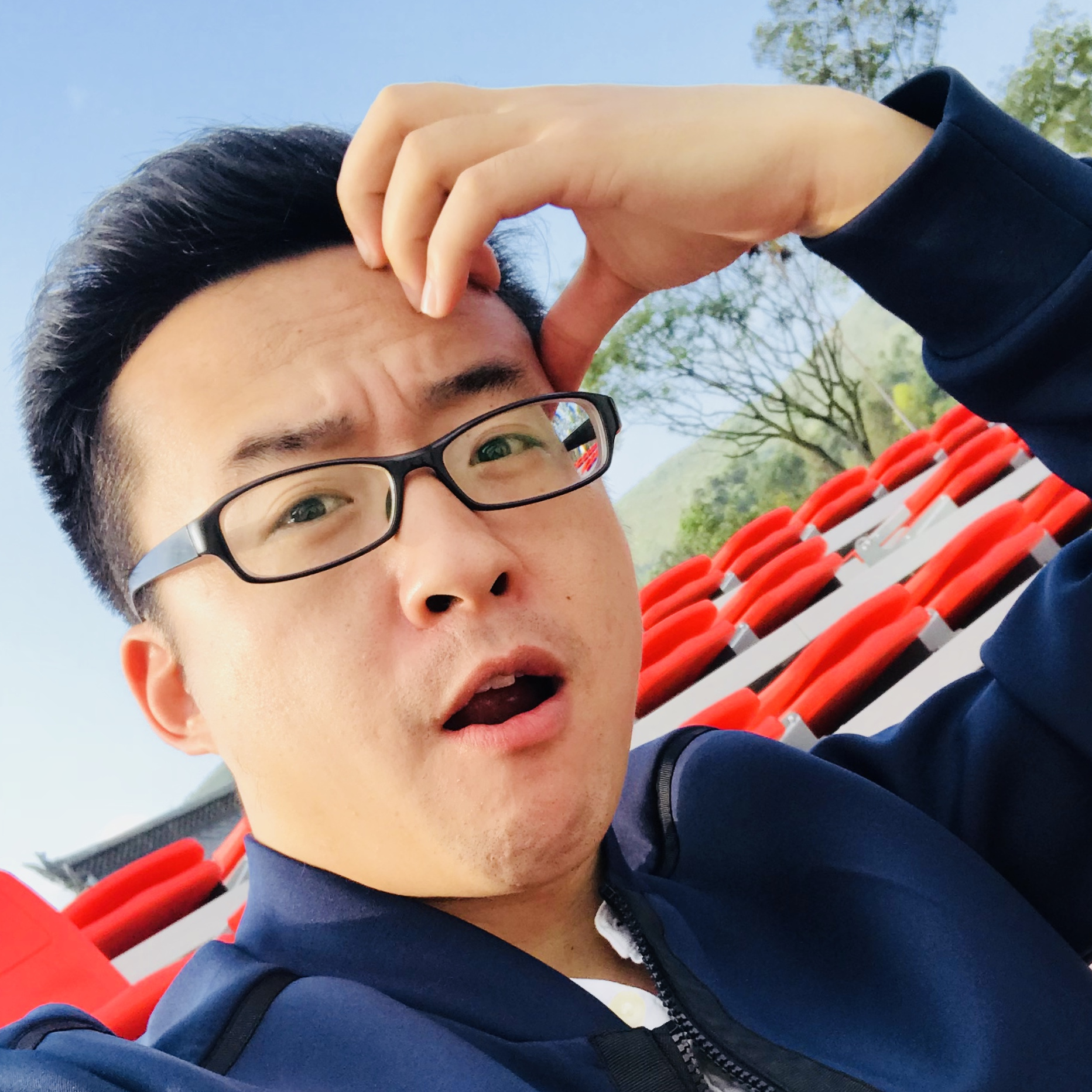 荷比西 