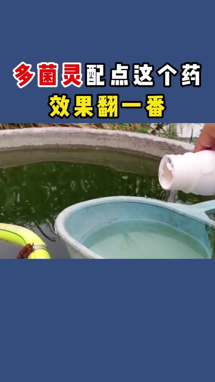多菌灵配点这个药,效果翻一番,您也可以试试!#来抖音学农技 #新农人计划2022