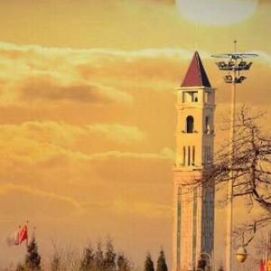 麦魔头的小女孩 