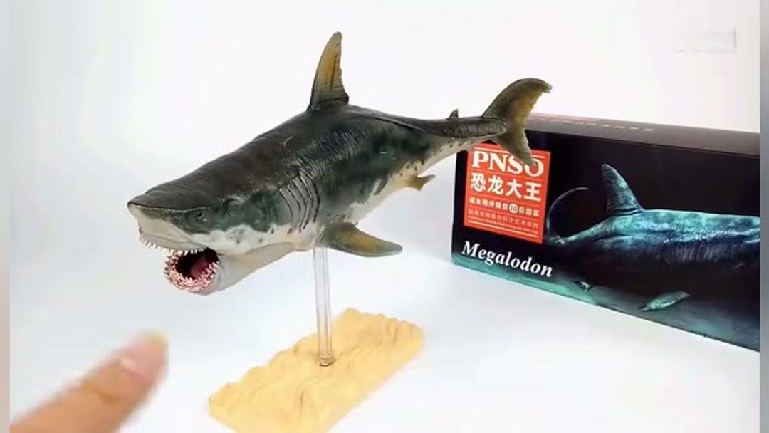 PNSO恐龙大王“巨齿鲨”(赵闯&杨杨)模型分享