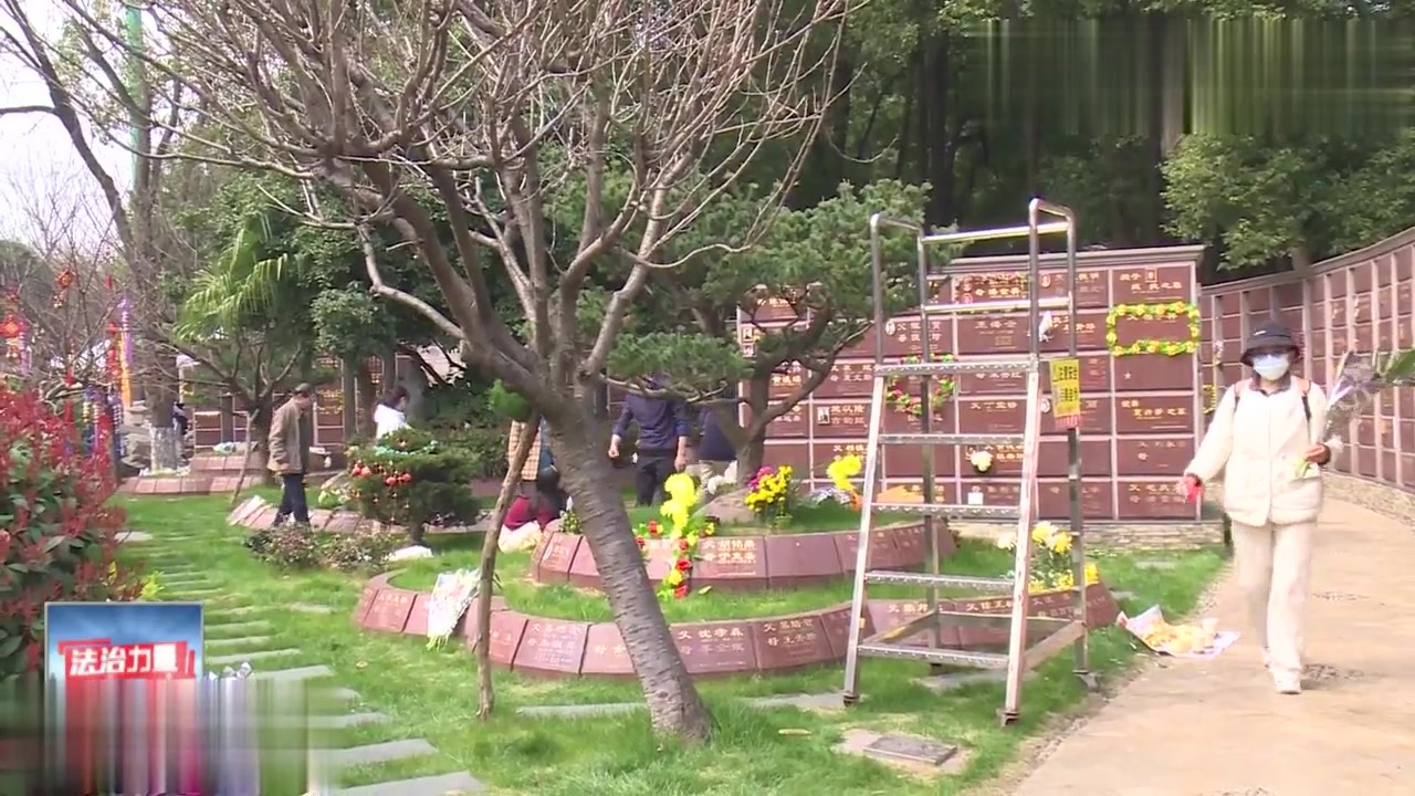 文明祭祀移风易俗南京节地生态安葬率达34.9%