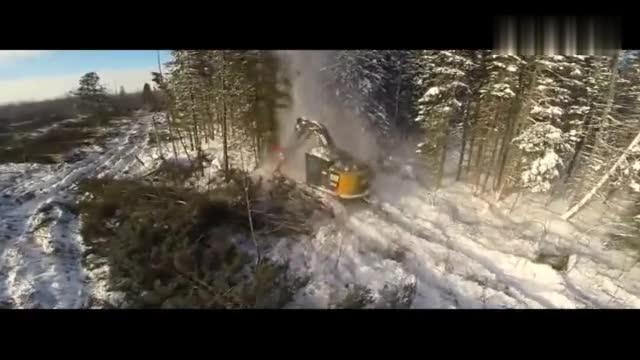 机械化高科技砍树,现在的伐木工太幸福了