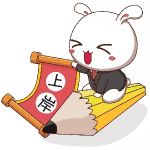 兔兔老师考编 