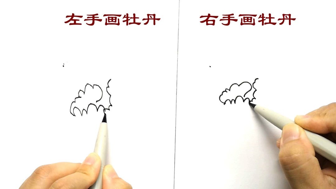 牡丹花很难画吗?试着这样画,又快又好看!