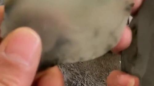 大叔小百淘的翡翠,切割三块冰种牌子,这到底算不算投资失败?