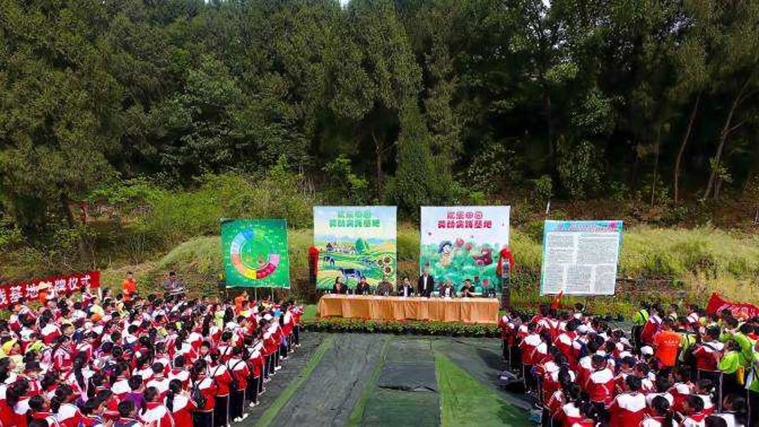 阆中市欢乐丛林户外教育研学劳动实践基地最新视频