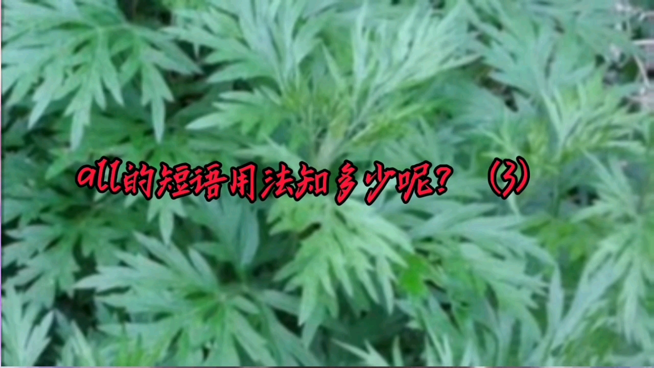 all的短语用法知多少呢?(3)