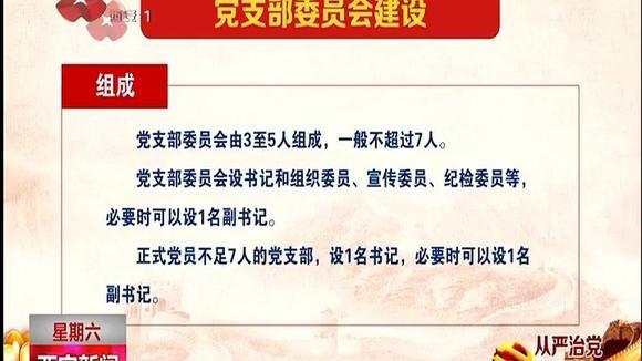 图文解读《中国共产党支部工作条例(试行)》(十二)