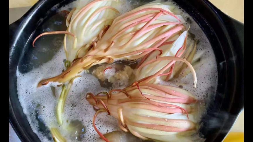 昙花又叫“月下美人”分享它二种食用方法,可治“高血压失眠”