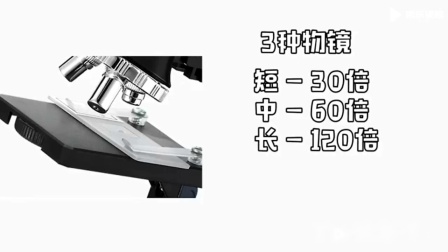 1200X显微镜使用教学