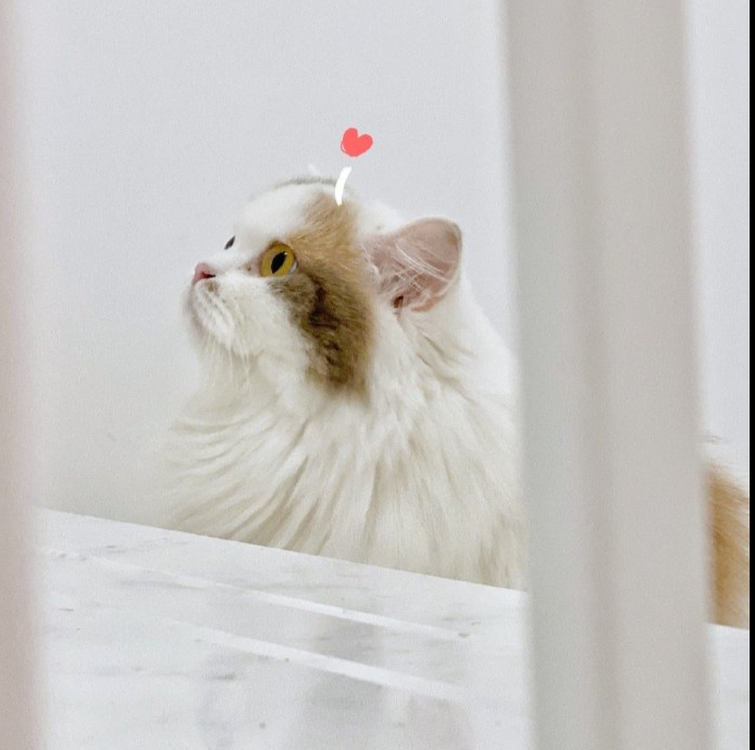 Hanser直播高能精剪 