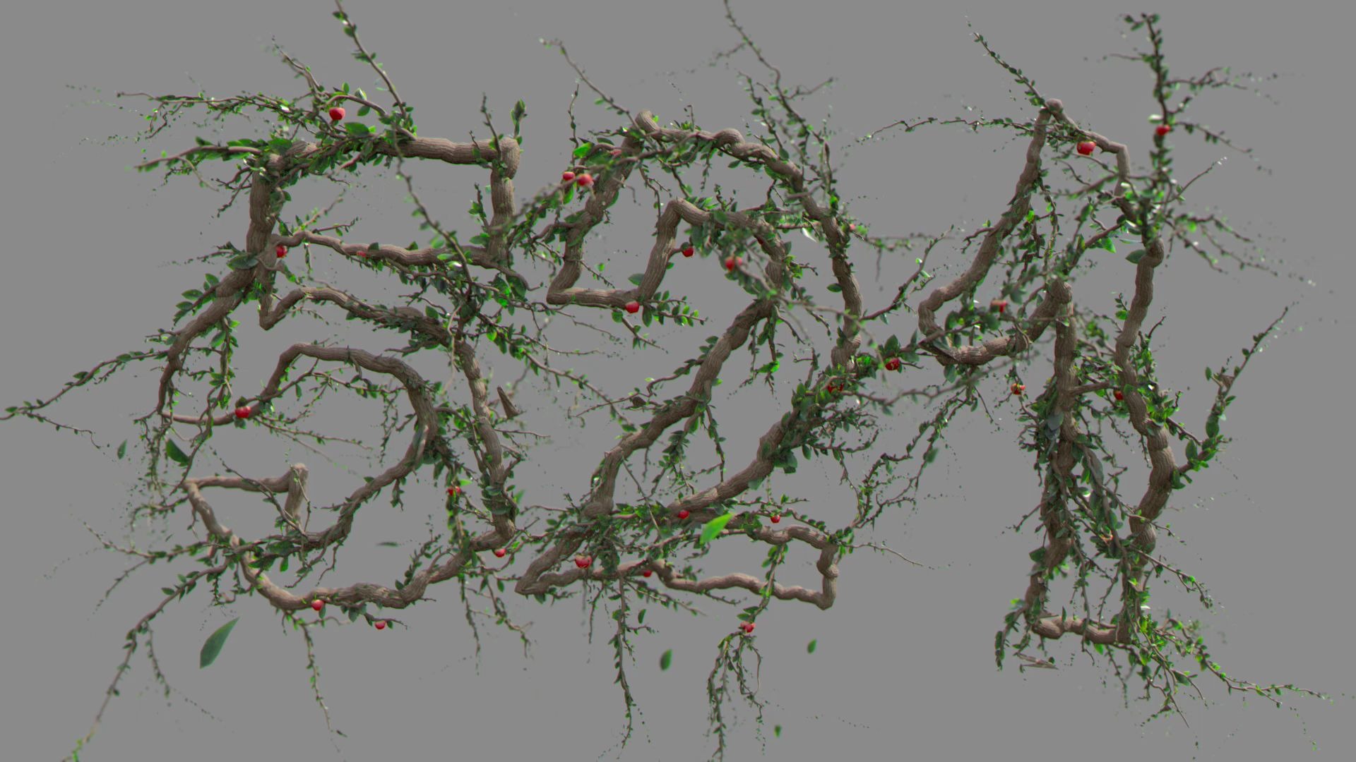 521 Houdini植物生长动画