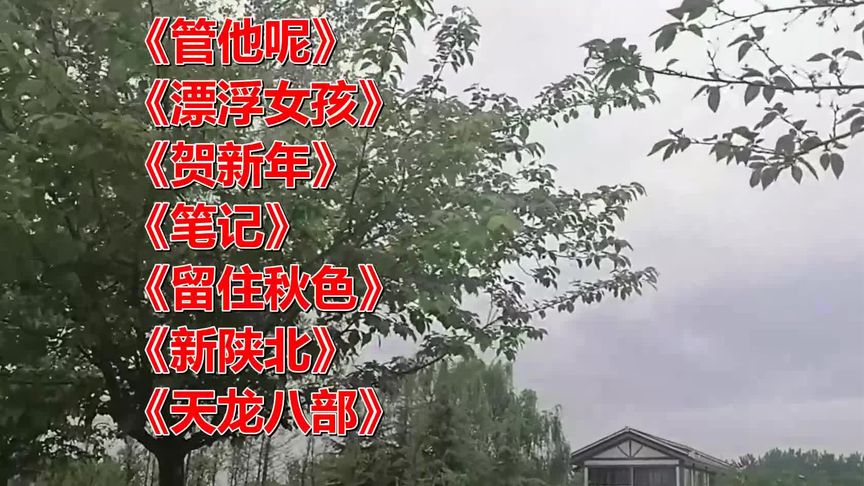 《管他呢》《漂浮女孩》《贺新年》《留住秋色》《天龙八部》