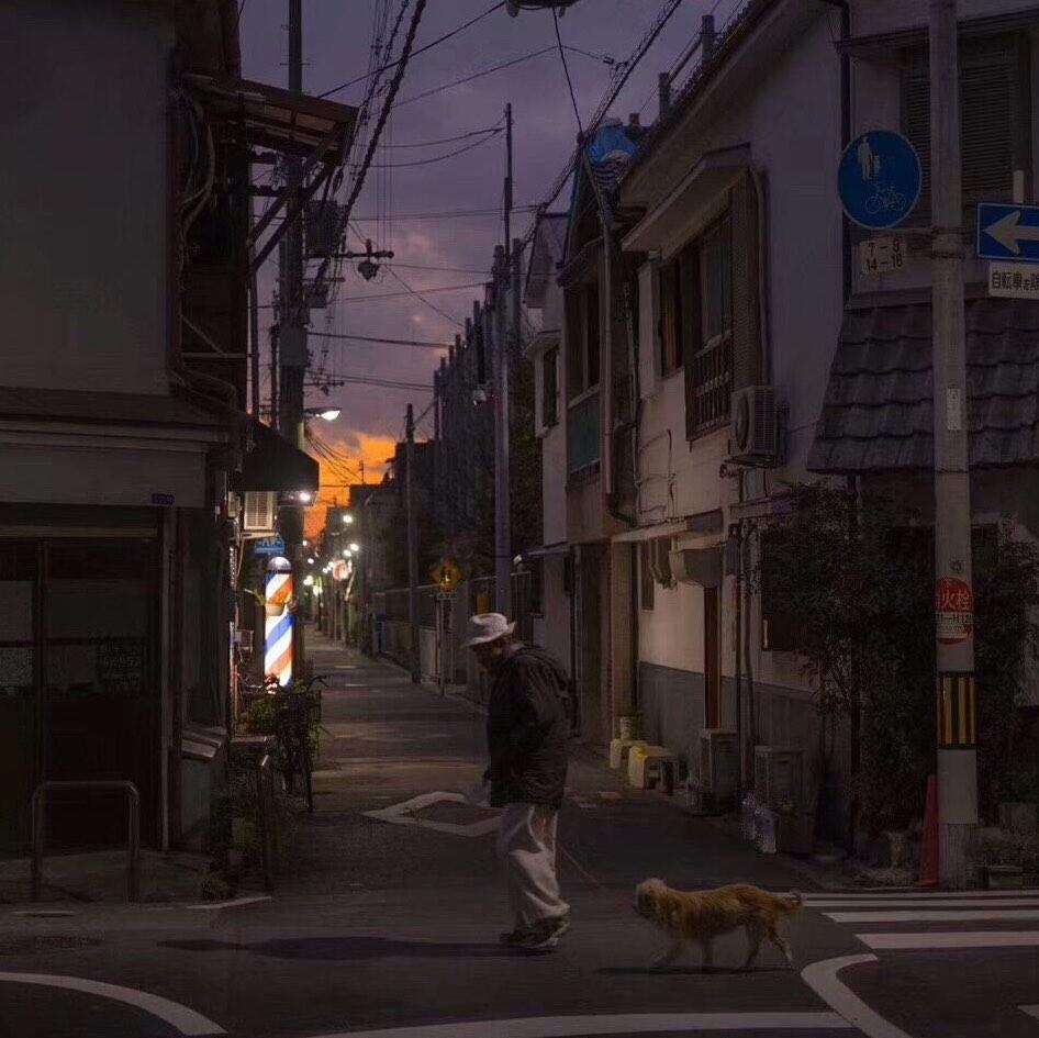 灯红酒绿yl 
