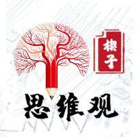 楔子儿思维观 