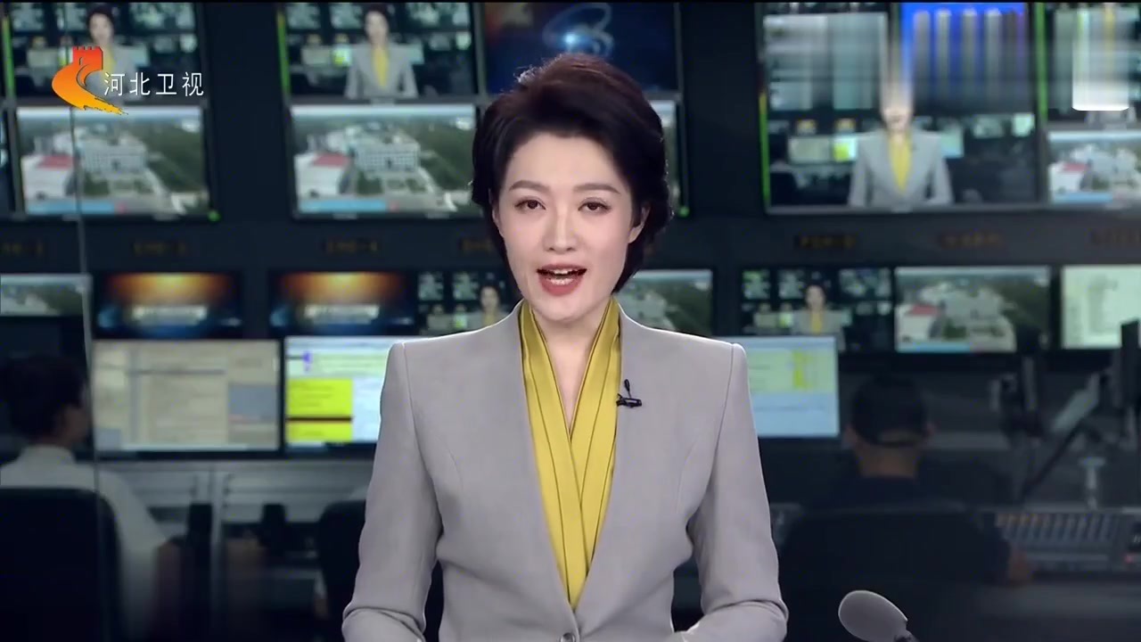 河北:创新帮扶模式促进产销对接助力中小企业高质量发展