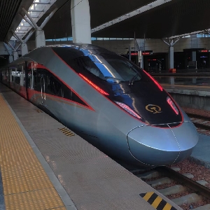 郑局高寒龙凤吉祥 