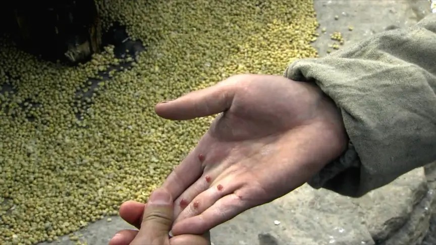 细皮嫩肉不像打工的,连长磨墨,却整的满手都是泡