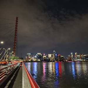 财经社科逻辑分享 