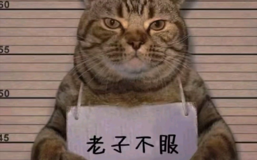 B站真是个好大学!当初学编程买的资料用不到了,送宋给有缘人!