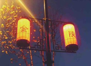 小小橘子萌萌哒 