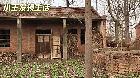 国家要重点整治农村违建房,什么样的才算违建房?认定标准来了