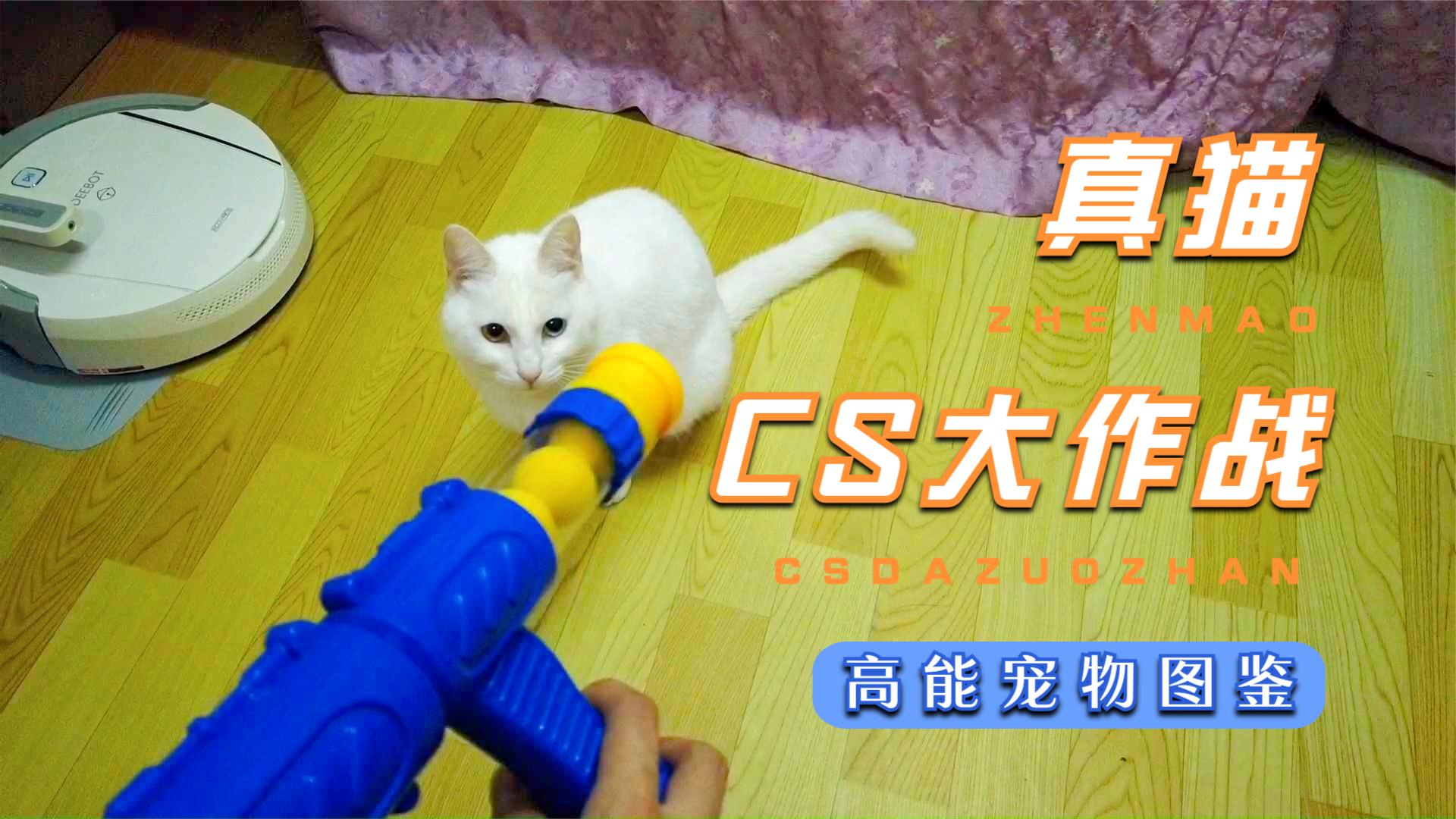 高能宠物图鉴:真猫CS大作战!