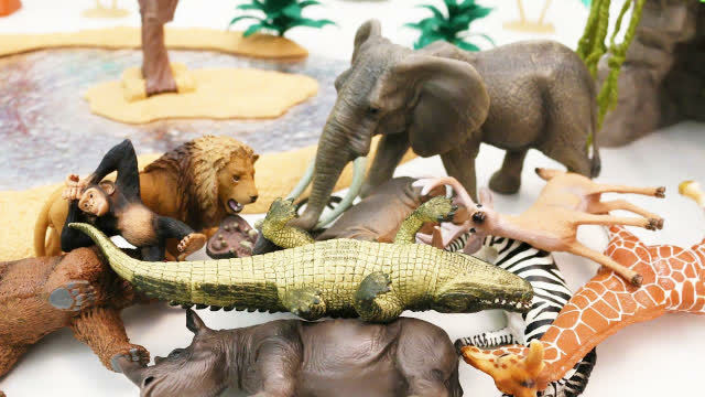 认识野生动物 奇趣玩具模型