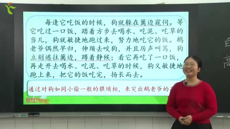 名师课堂四年级语文《白鹅》第二课时