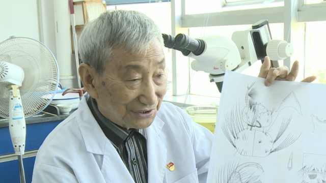 85岁专家画蚊30年,退休不罢休:看显微镜画,不允许出现误差