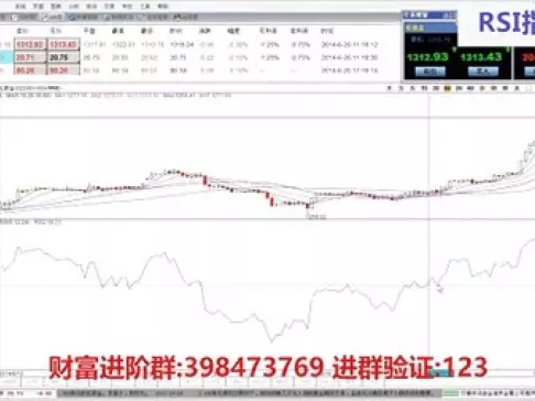 【高清版】黄金白银投资内部教学【第四讲】:指标RSI的使用方法
