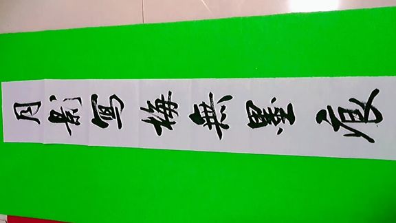 书法联句:月影写梅无墨痕,诚邀联友对句或点评