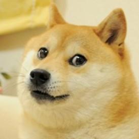 一只红色主义的chance 