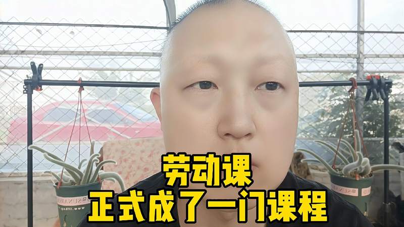 劳动课正式成了一门课程