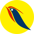 画媒文化传播 