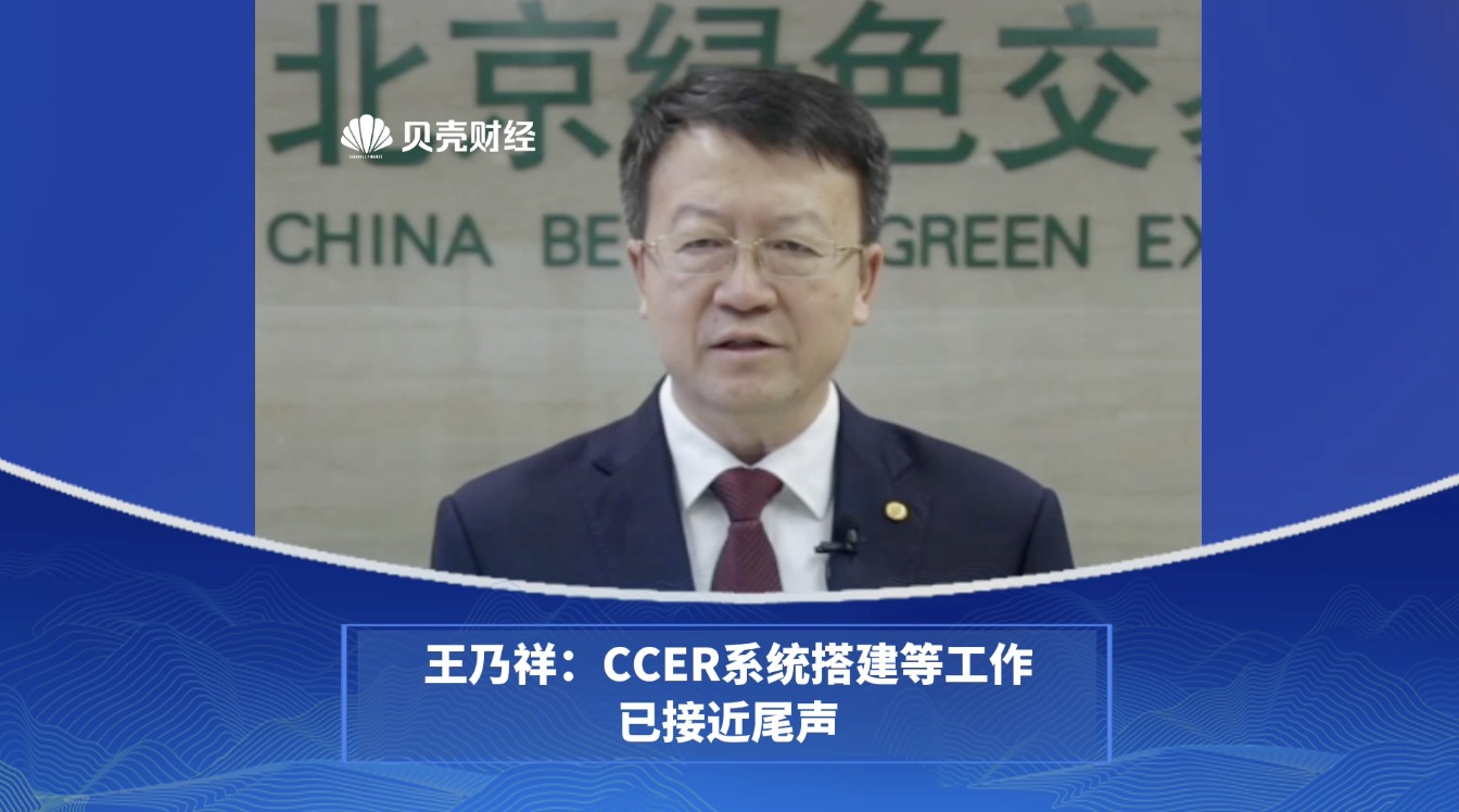 王乃祥:CCER系统搭建等工作已接近尾声