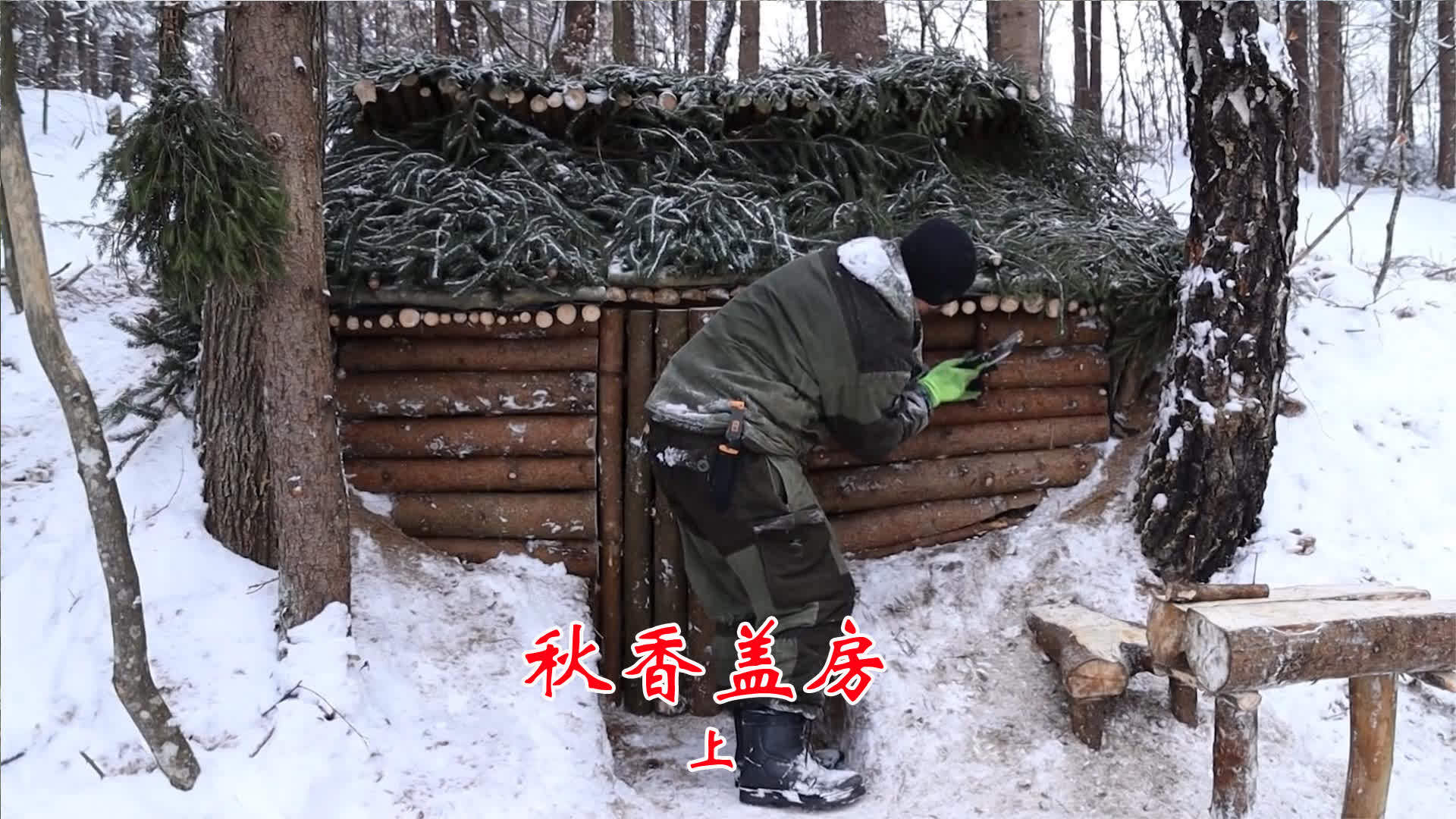 独自一人来到森林里,就地取材搭建小木屋