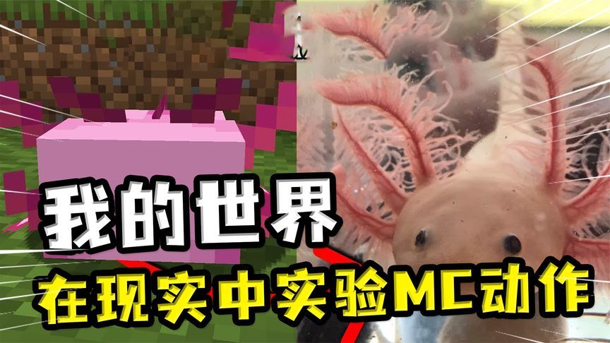 我的世界:在现实中实验MC动作,用瓶子装蜂蜜,制作蜡烛