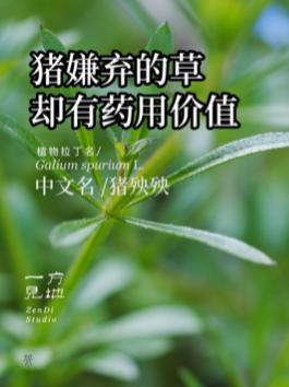 猪都嫌弃的草却有药用价值,在大自然里不管多小的花,只要努力绽放,...