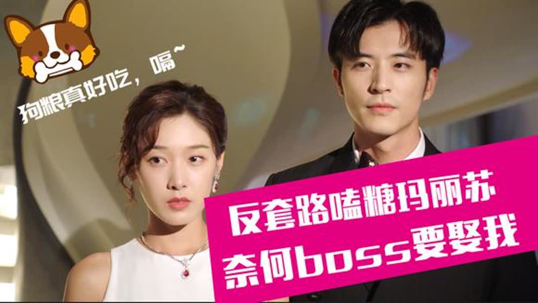 全程姨夫笑!爆笑解说磕糖反套路的《奈何boss要娶我》