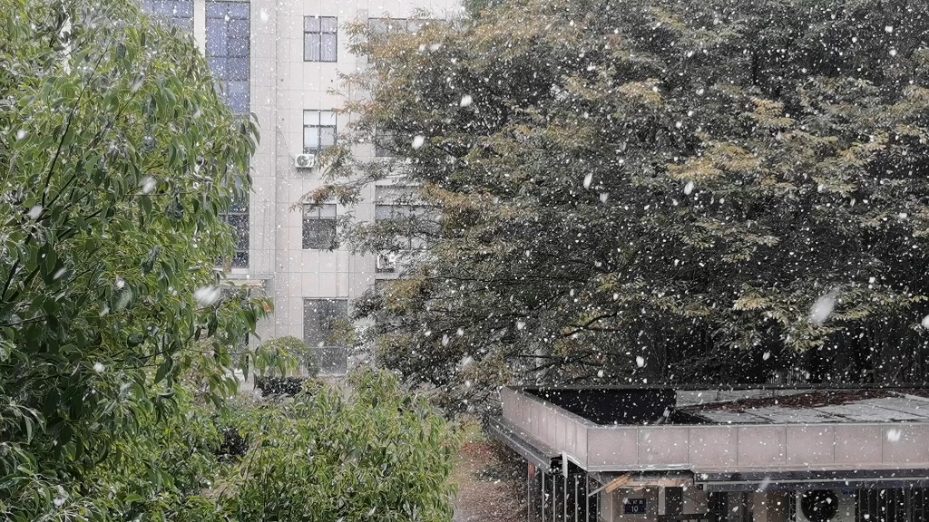 #新冠打卡#新冠第五天,今天喷嚏、咳嗽、流鼻涕