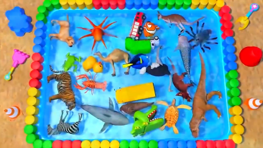 少儿卡通动画 介绍小鸡小狗和袋鼠 霸王龙 校车 卡车