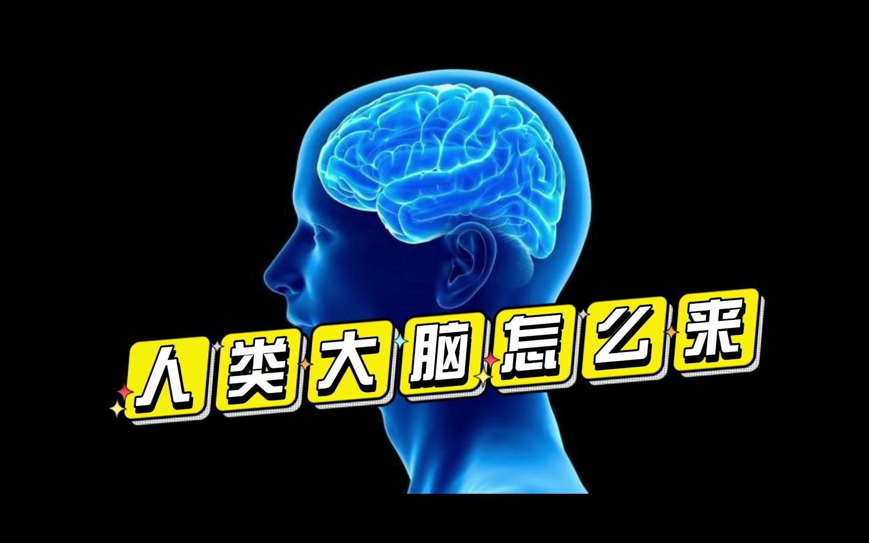 人类大脑为何如此发达,究竟是怎么进化来的
