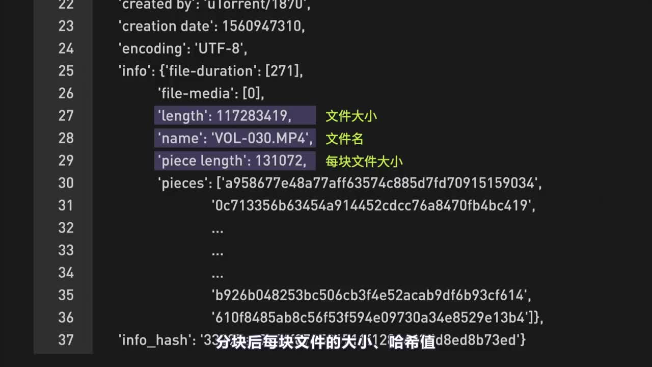 科普:什么是分布式哈希路由DHT,和BT种子一样吗?作者:回形针