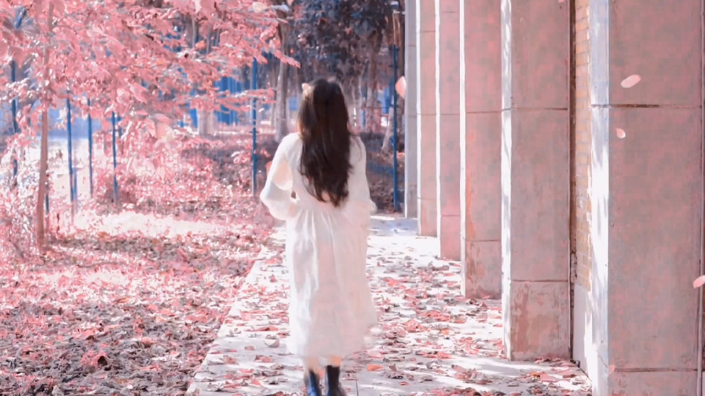 希望你永远记住我的样子