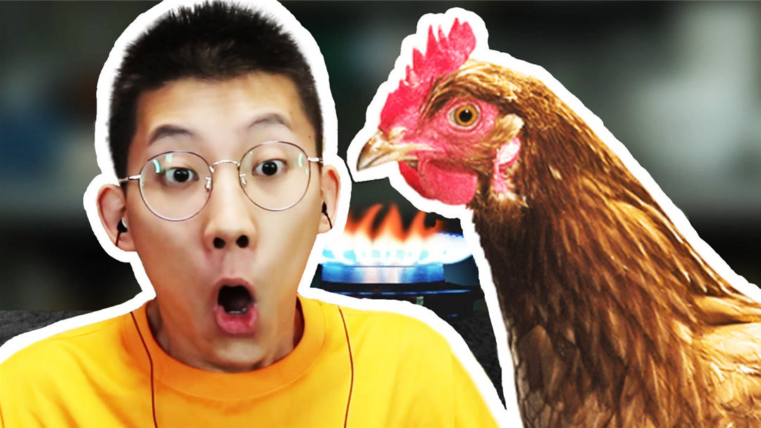 鲤鱼Ace:母鸡护蛋模拟器 如何保护自己的孩子?在道路崎岖的厨房