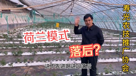 寿光的简易无土栽培技术模式,比荷兰模式更简单、更先进