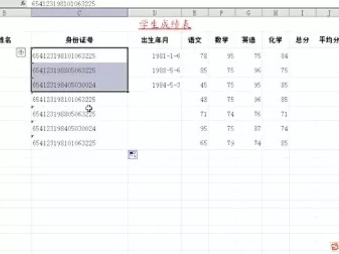王晓宇零基础计算机教程第028讲(excel的格式化操作,再不聪明的人也...