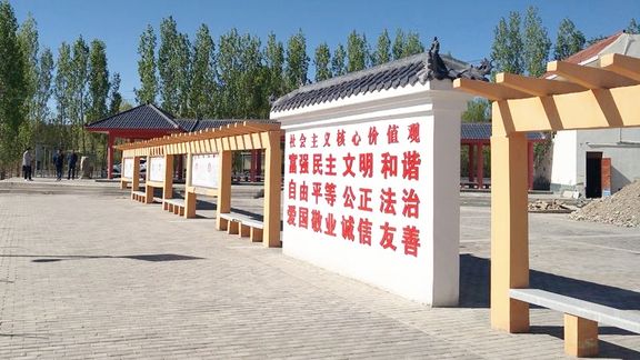 如何解决农村“苍蝇”等问题,专家给出方案,大家认为有道理吗?